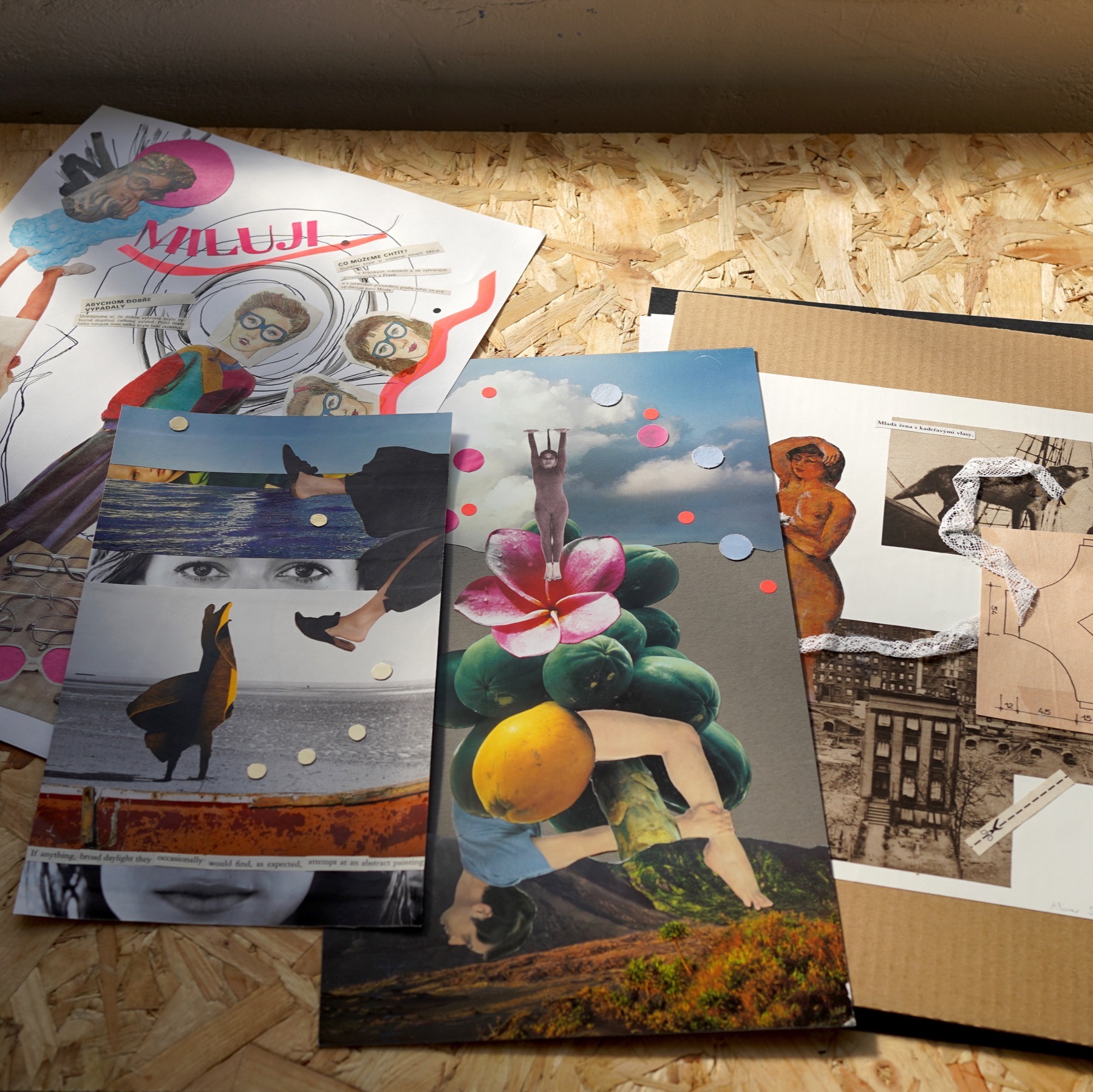Work and projects – Alena Skalova